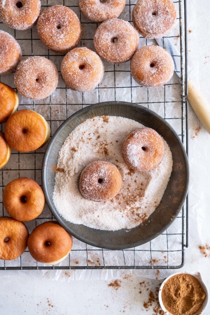 Homemade Mini Donuts (+ Video Tutorial) - Cloudy Kitchen
