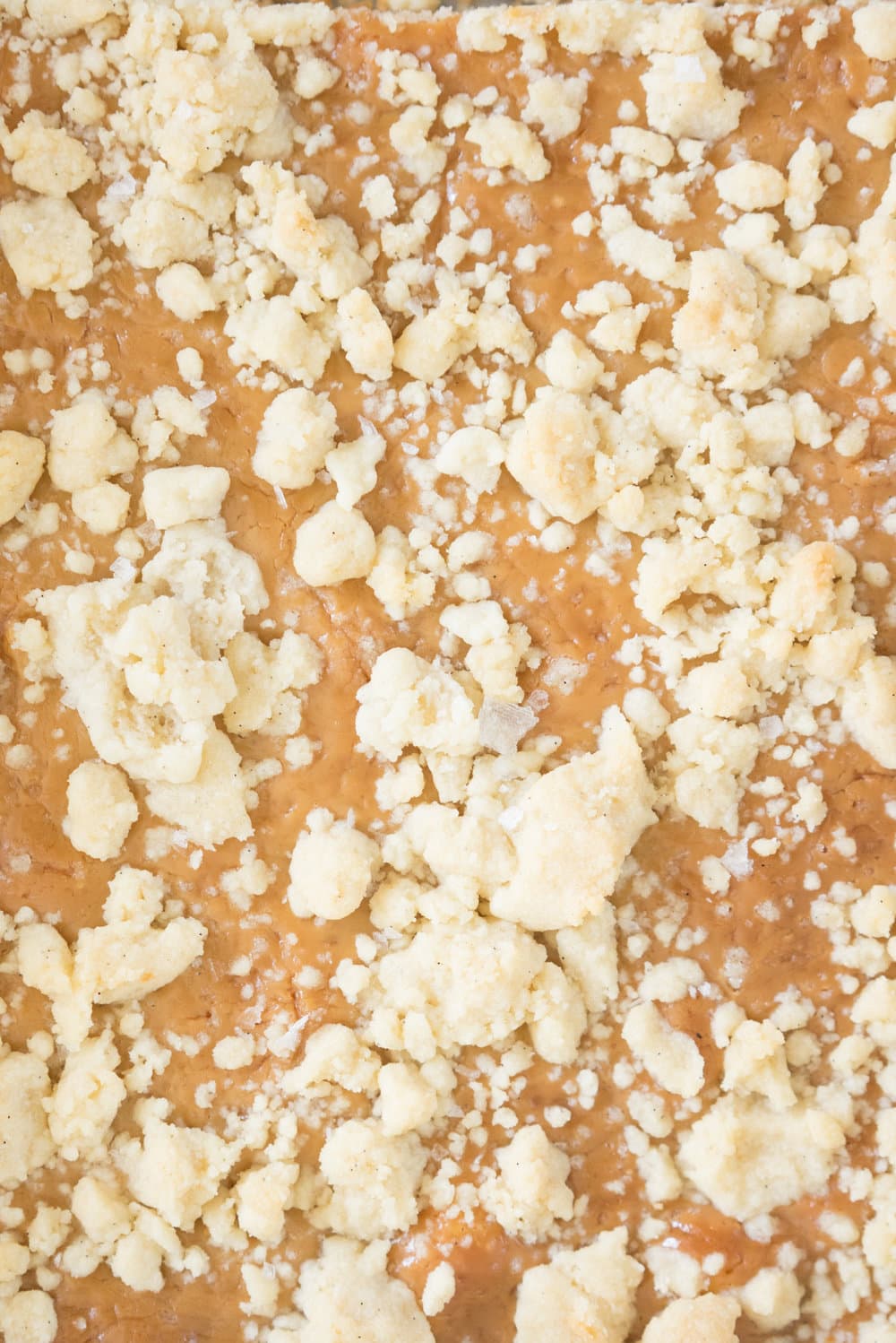 Tan Square (Tan Slice Recipe) - a New Zealand Classic - Cloudy Kitchen