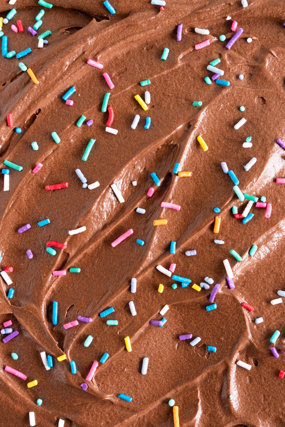 Vanilla Malt Snack Cake with Chocolate Frosting - Cloudy Kitchen