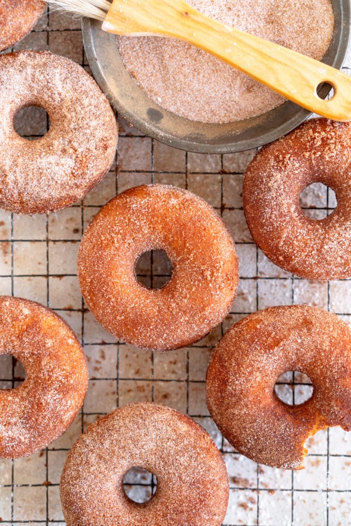 Cinnamon Sugar Doughnuts (Super Fluffy) - Cloudy Kitchen