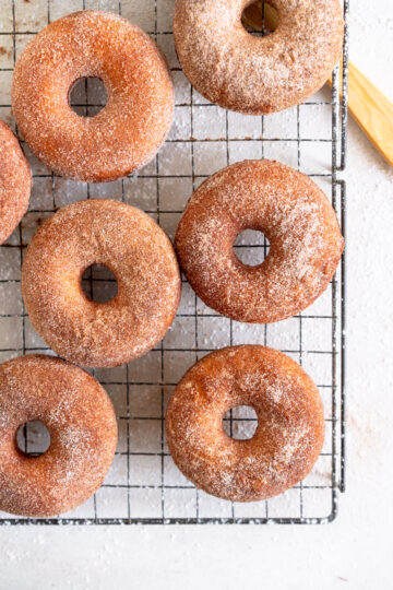 Cinnamon Sugar Doughnuts (Super Fluffy) - Cloudy Kitchen