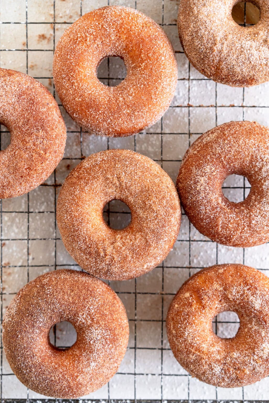 Cinnamon Sugar Doughnuts (Super Fluffy) - Cloudy Kitchen