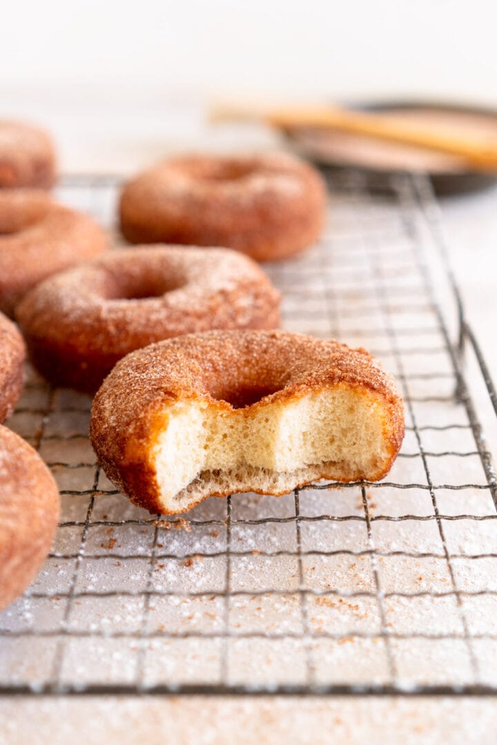 Cinnamon Sugar Doughnuts (Super Fluffy) - Cloudy Kitchen