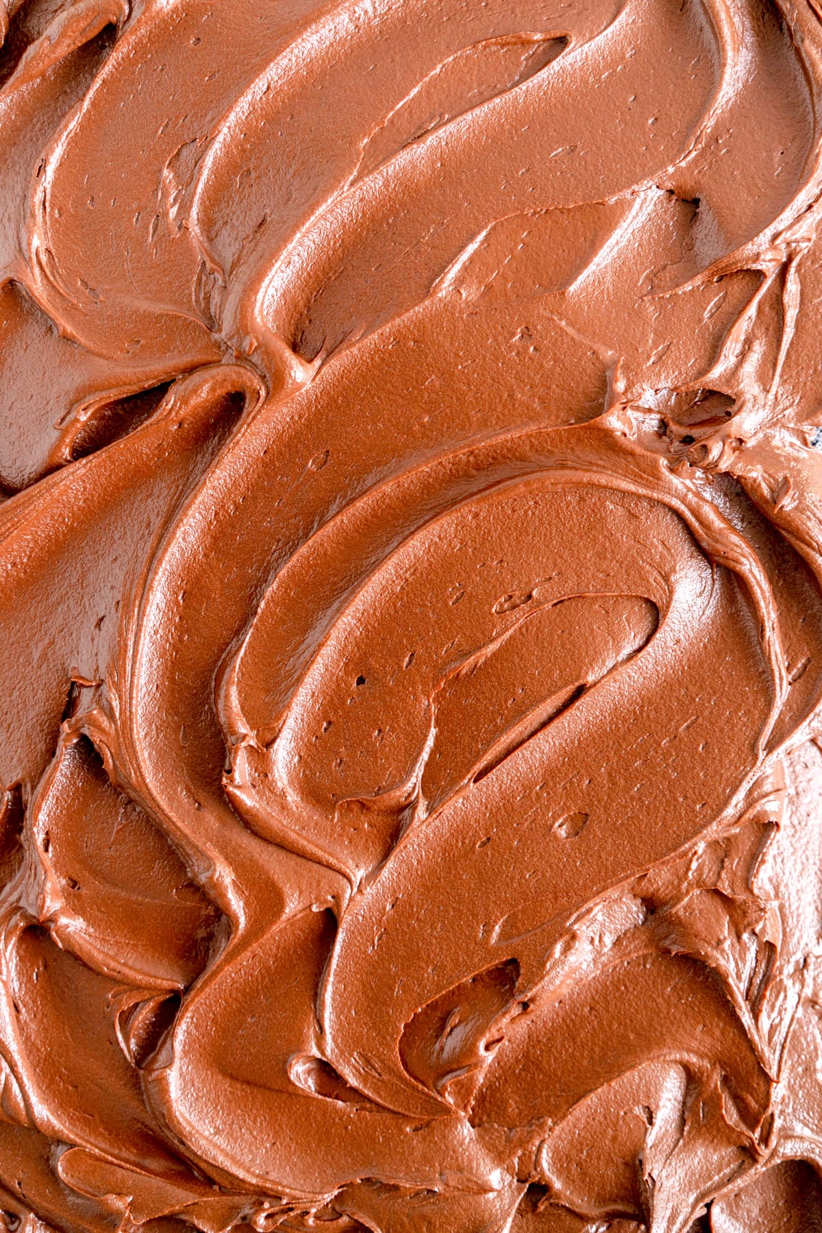 Devil's Food Sheet Cake with Chocolate Frosting - Cloudy Kitchen