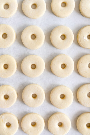 Homemade Mini Donuts (+ Video Tutorial) - Cloudy Kitchen