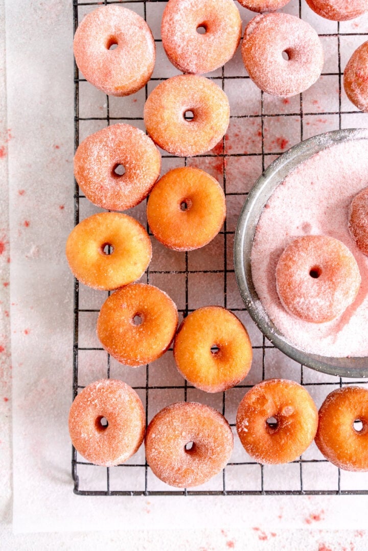 Homemade Mini Donuts (+ Video Tutorial) - Cloudy Kitchen