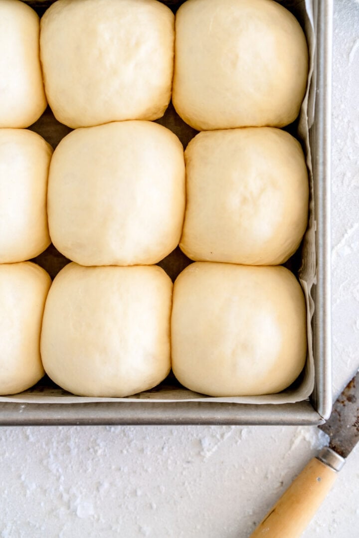 Small Batch Dinner Rolls (Makes 9 Rolls) - Cloudy Kitchen