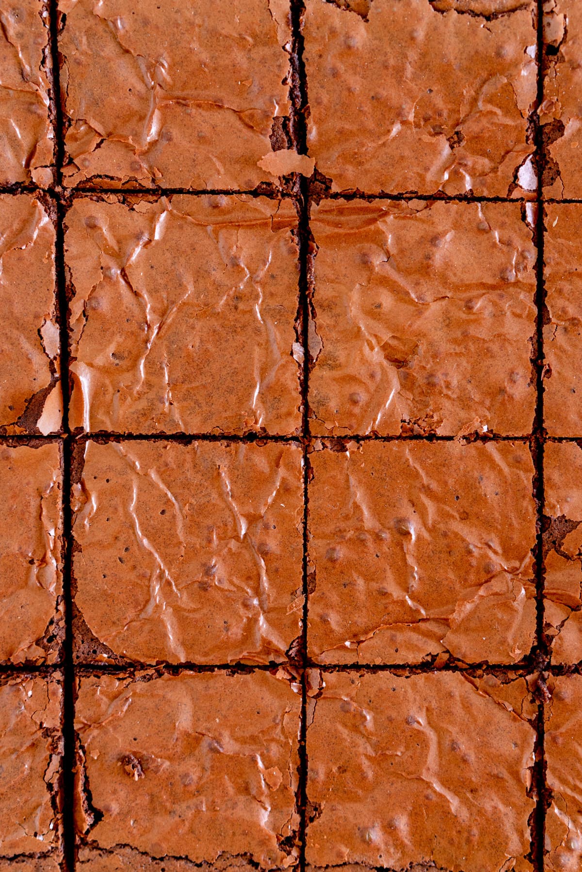 I Finally Found It - My Forever Brownie Recipe - Cloudy Kitchen