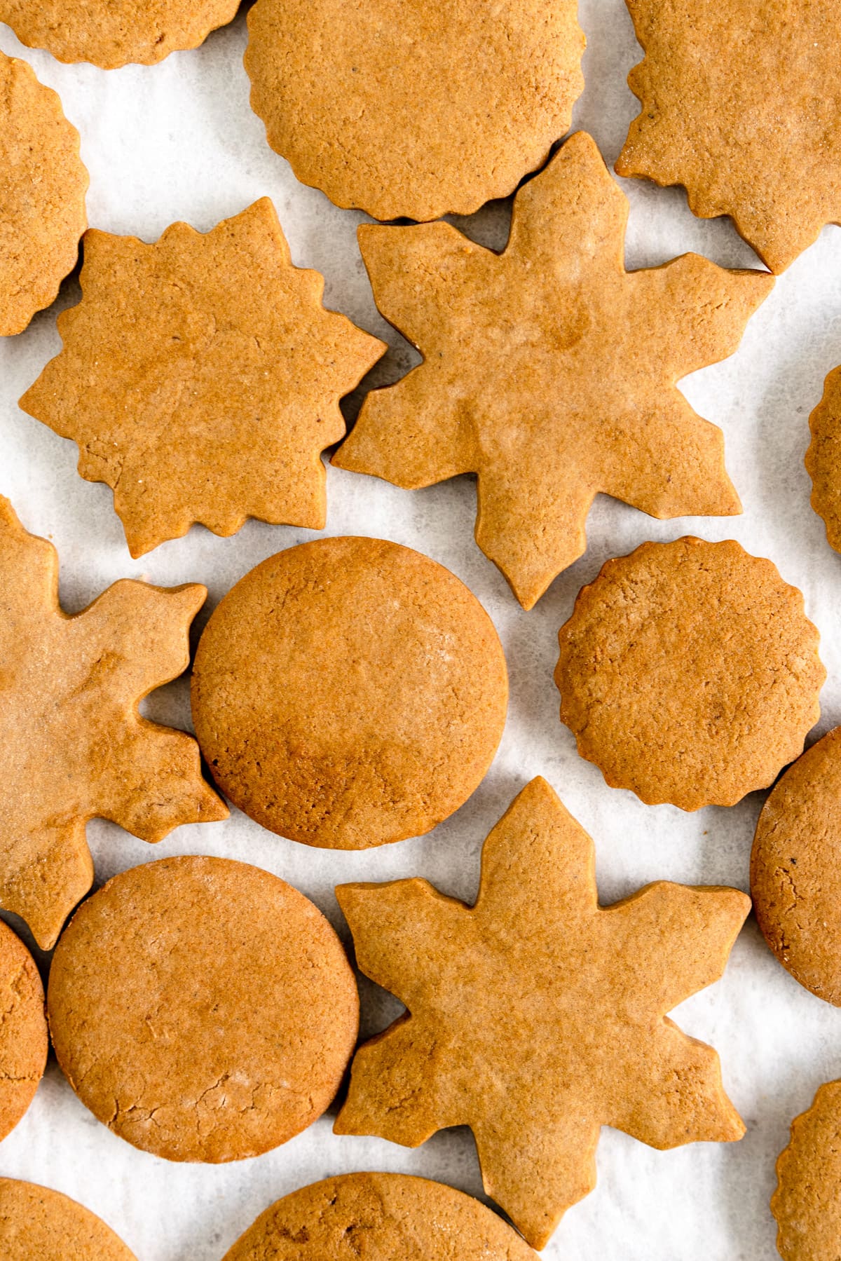 Easy Gingerbread Cookies - Cloudy Kitchen