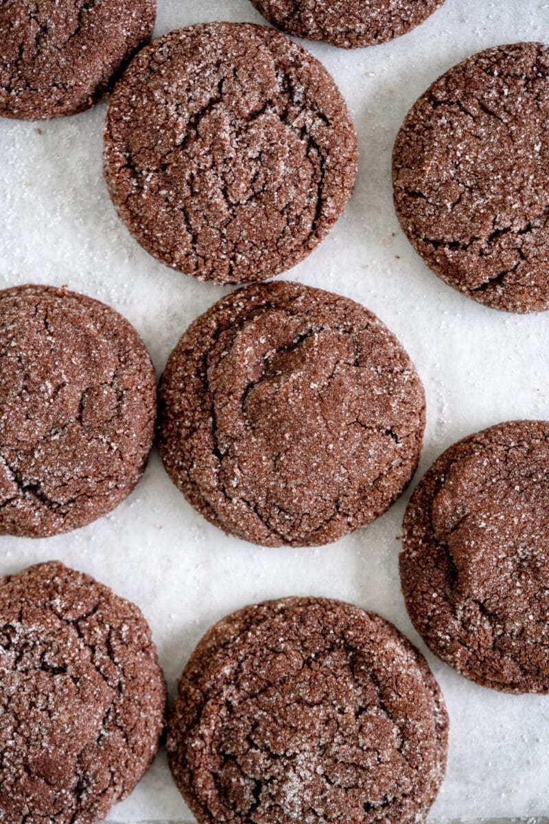 30 minute Chewy Chocolate Cookies - Cloudy Kitchen