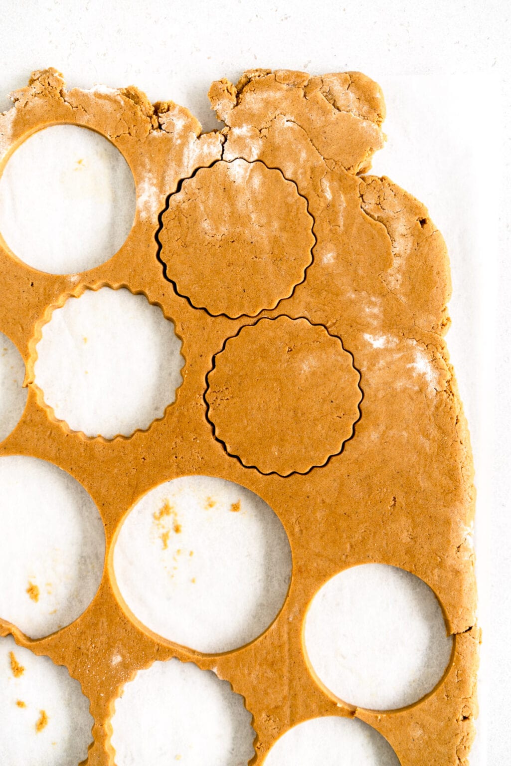 Easy Gingerbread Cookies - Cloudy Kitchen