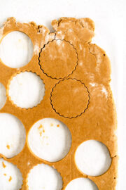 Basic Gingerbread Cookie Dough - Cloudy Kitchen