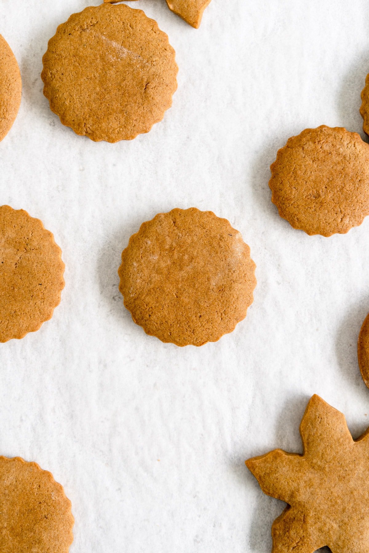 Easy Gingerbread Cookies - Cloudy Kitchen
