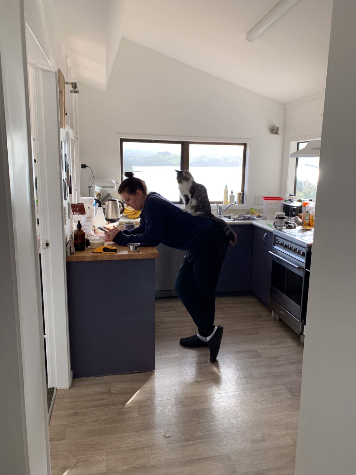 My Dream Kitchen Renovation Reveal! - Cloudy Kitchen