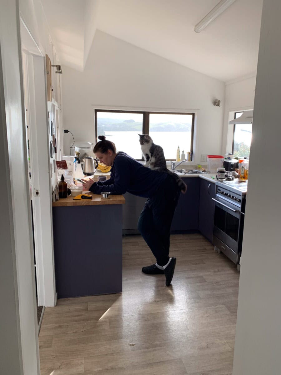 My Dream Kitchen Renovation Reveal! - Cloudy Kitchen